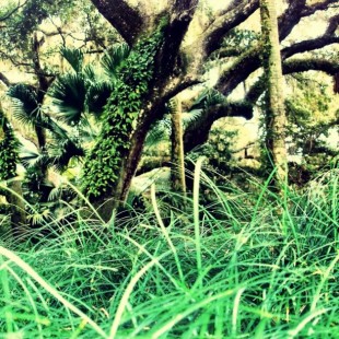 12 Amazing Instagram Shots of the Amazonian Jungle - eDreams Travel Blog