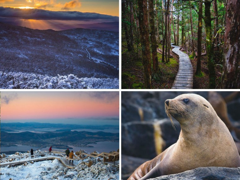 18 Top Instagram Accounts To Follow If You're Visiting Australia